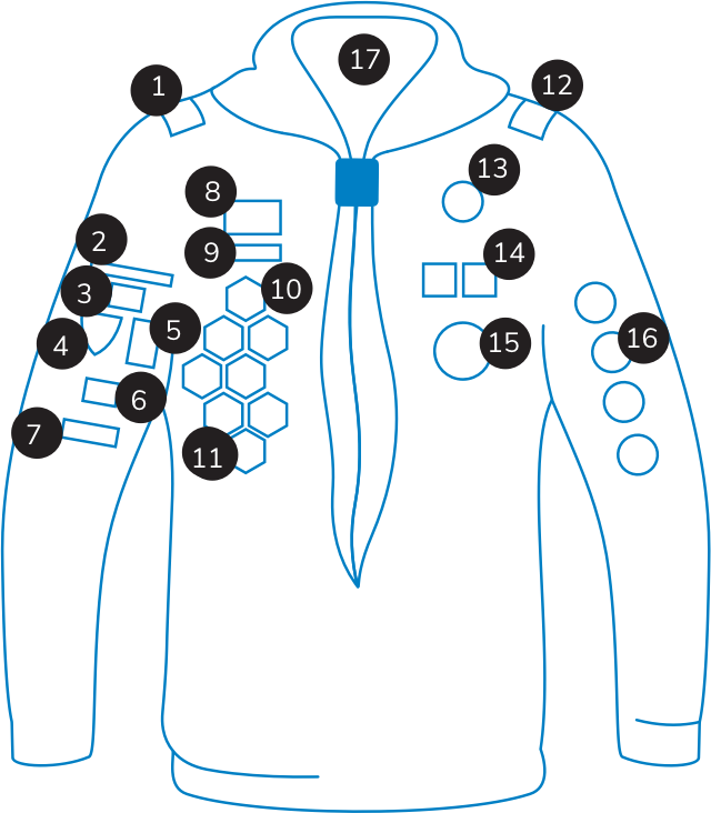 Northumberland Scouts | Beavers Uniform and Badge Placement